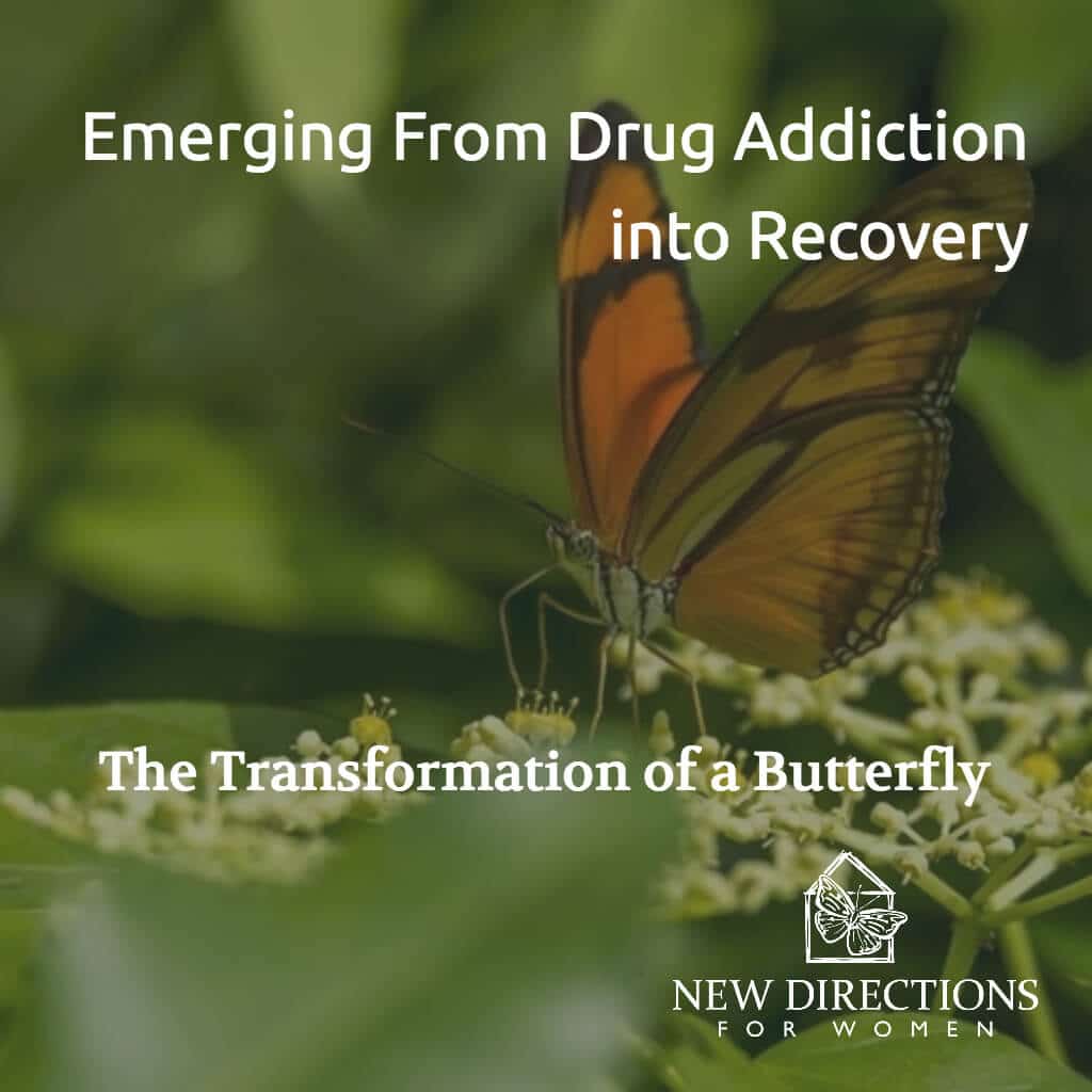 Emerging from Drug Addiction into Recovery | New Directions For Women